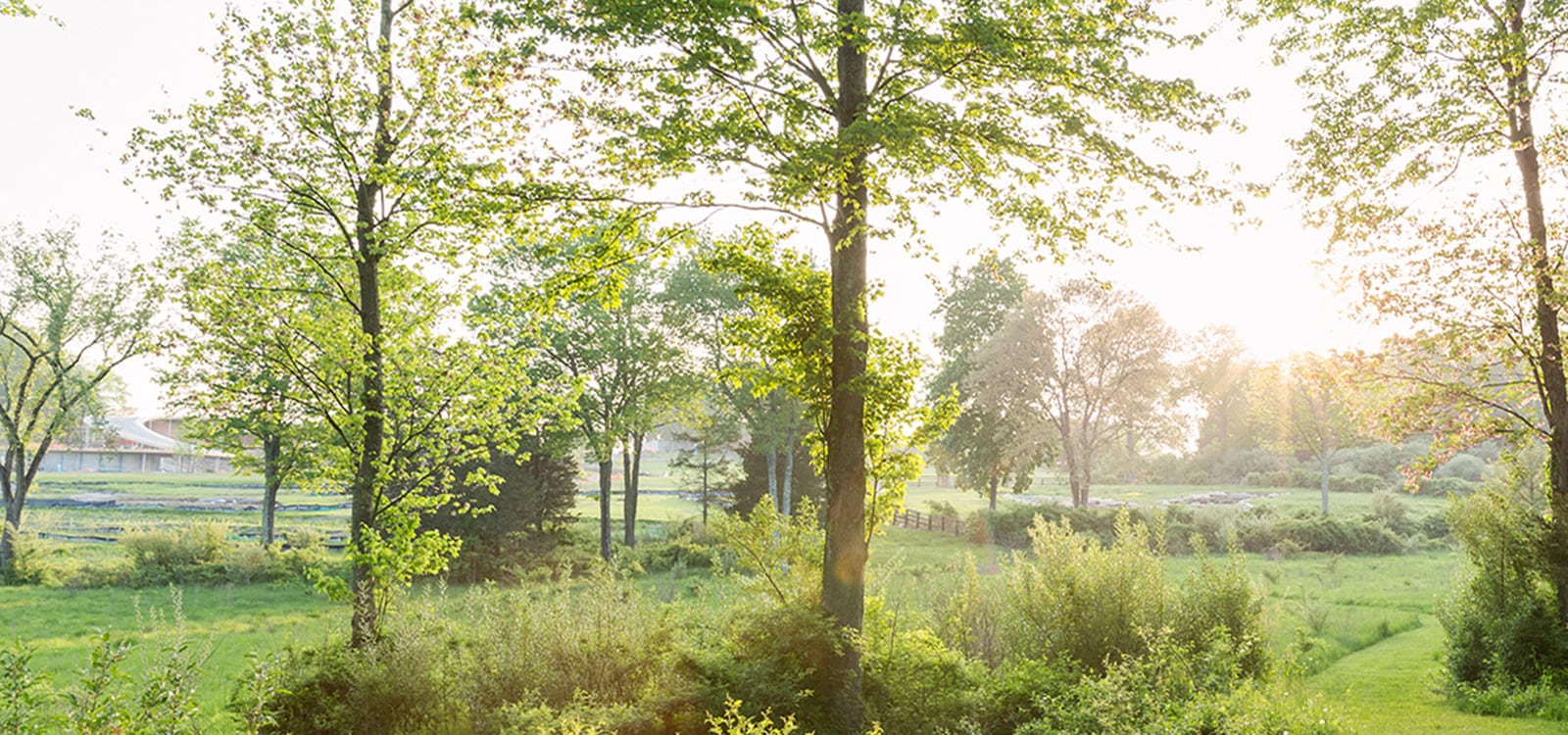 Portraying Faith | An Inside View of Religion in the Media | Grace Farms
