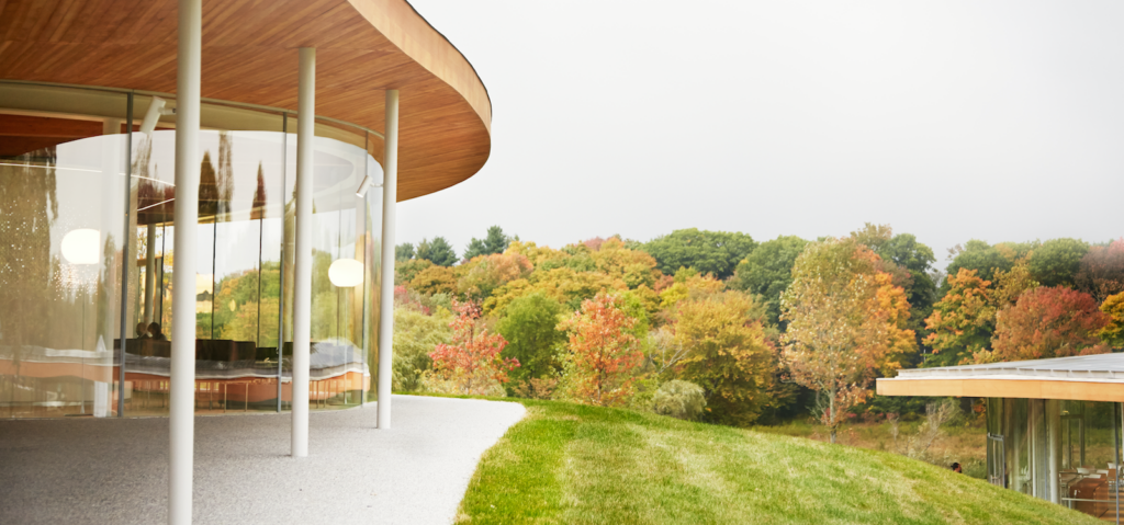 Fall Forest Walk | Grace Farms